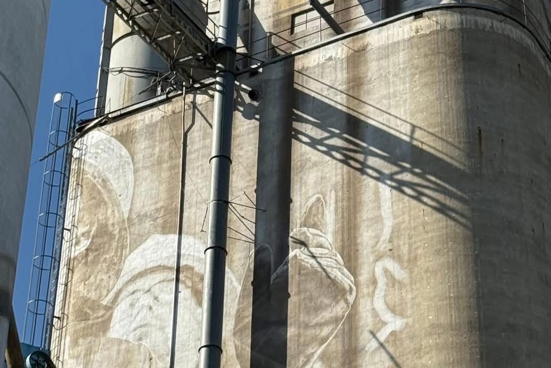 Celebration continues as Union Silos completed | News, Sports, Jobs ...